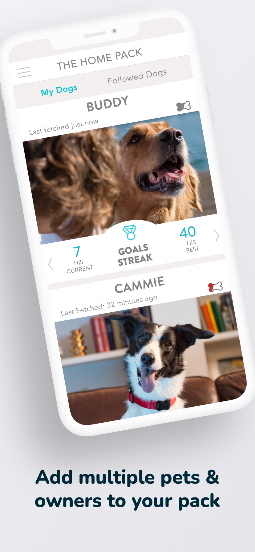 FitBark GPS Pet Tracker & Activity Monitor