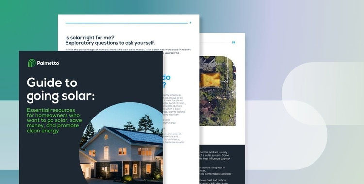 Palmetto | Power Your Home with Solar Panels