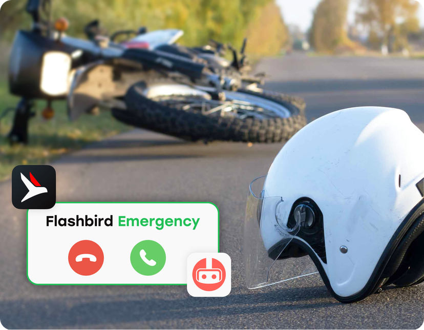 Flashbird : traceur GPS nouvelle génération