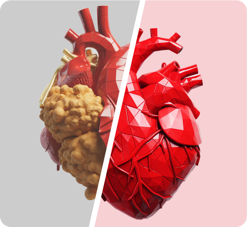 Contacts Privacy policy Terms & Conditions