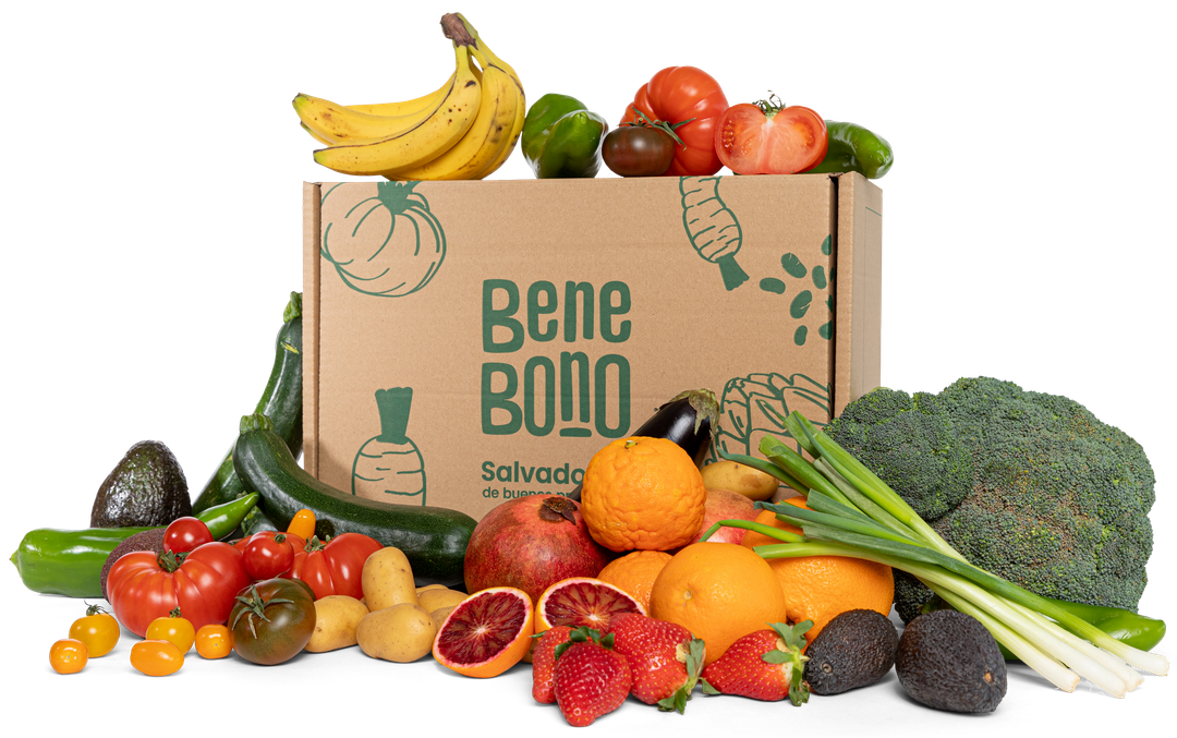 Bene Bono