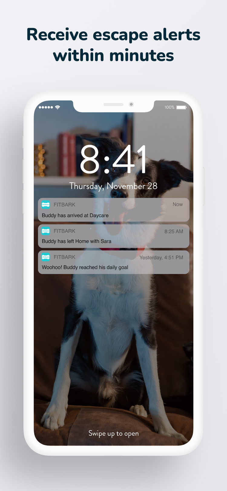 FitBark GPS Pet Tracker & Activity Monitor