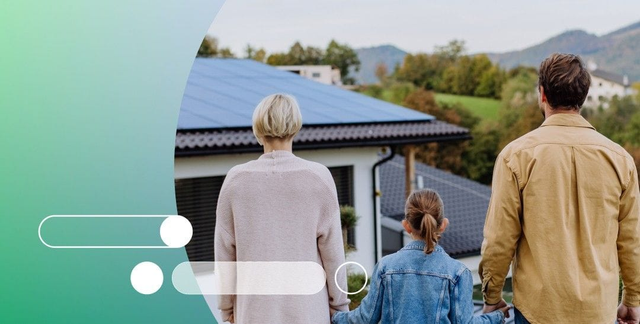 Palmetto | Power Your Home with Solar Panels