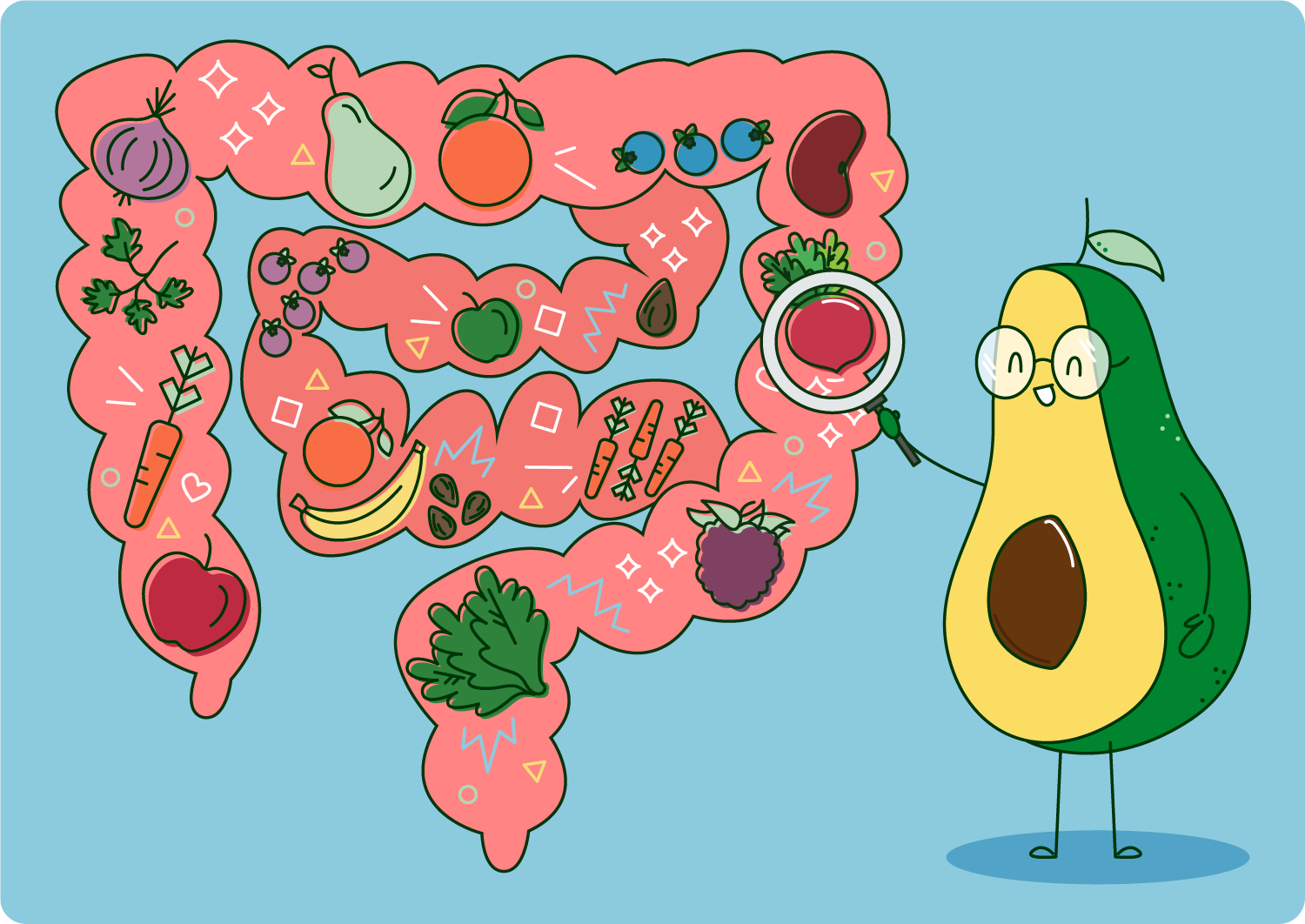 Gut Health Program | 12 Week Gut Health Programs