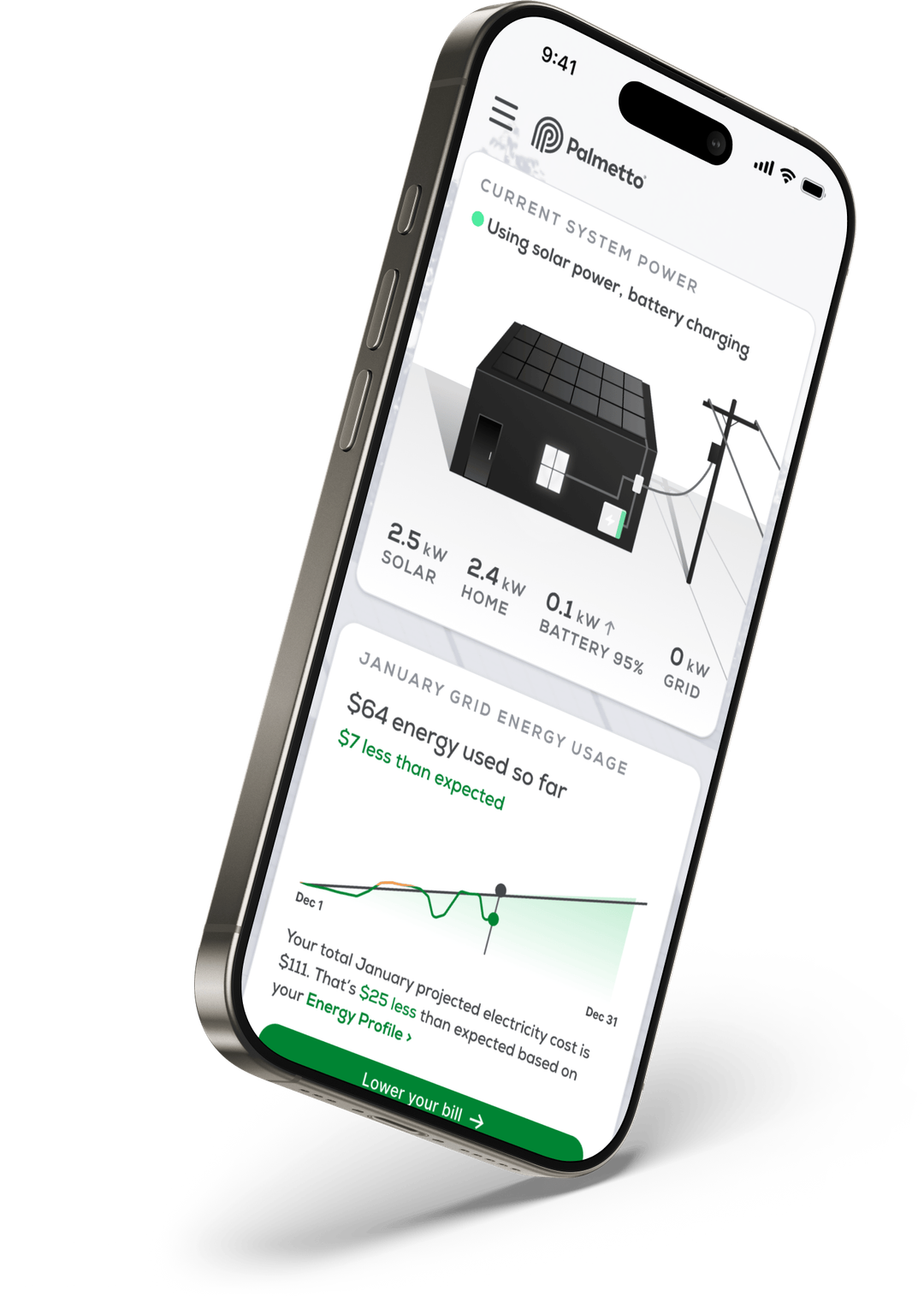 Explore Your Home Energy Profile with Palmetto's Energy Advisor | Palmetto