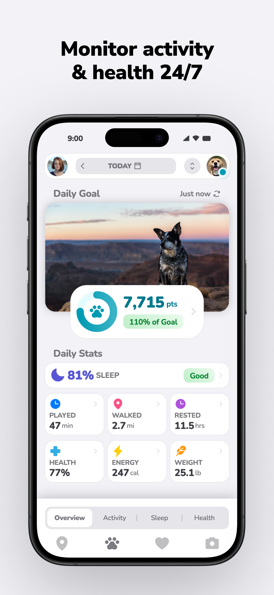 FitBark GPS Pet Tracker & Activity Monitor