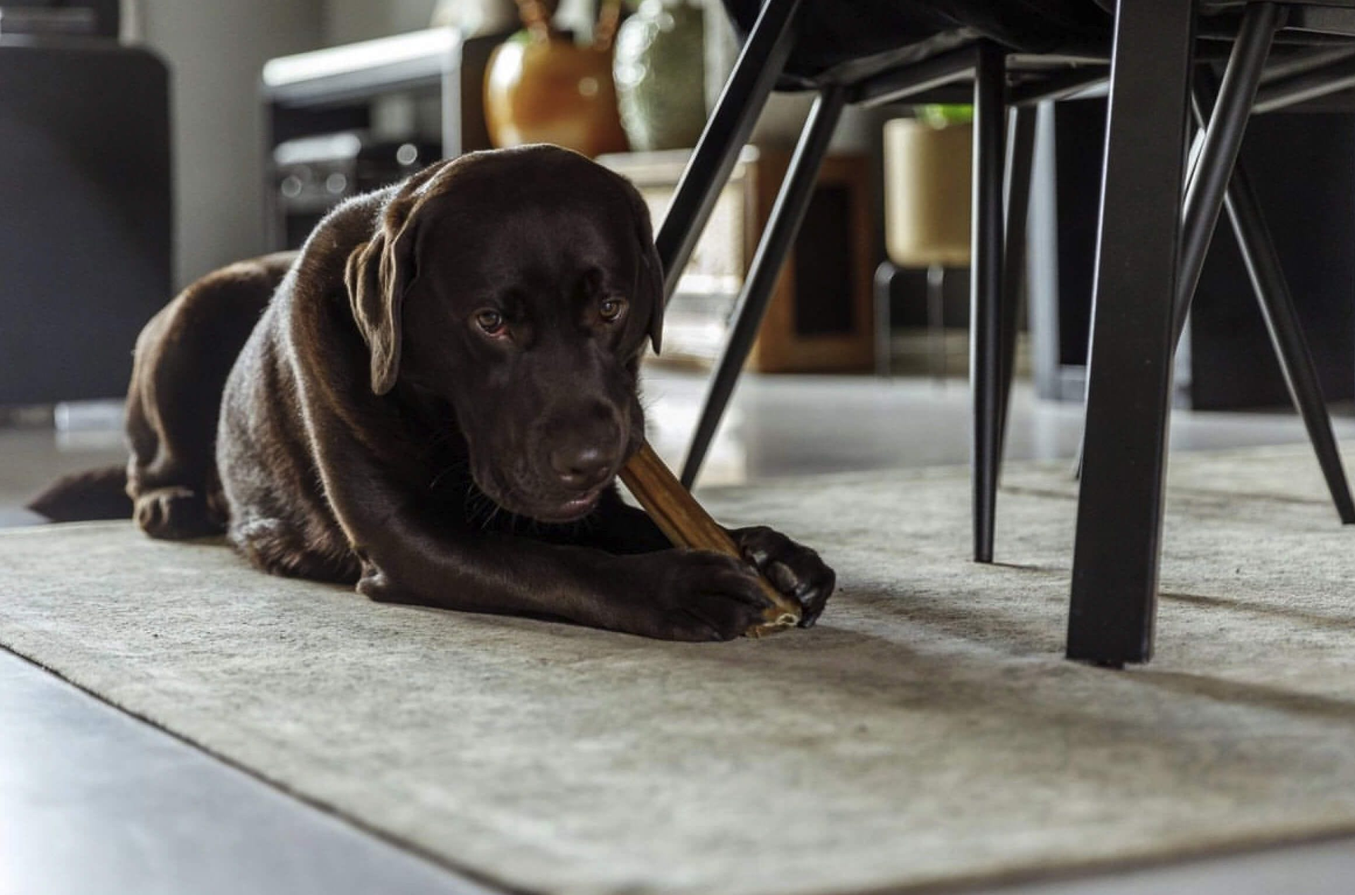 Garden Tower 2™ | The World’s Most Advanced Vertical Garden