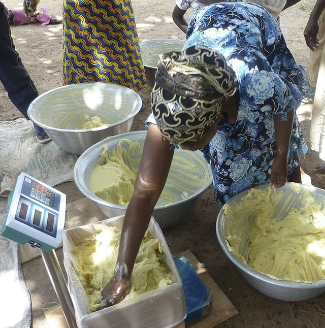 Is Shea Butter Edible? Food-Grade Uses and Health Benefits