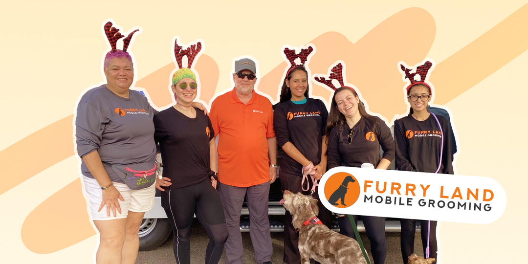 MoeGo Blog | Your Source for Expert Pet Care Advice and Updates