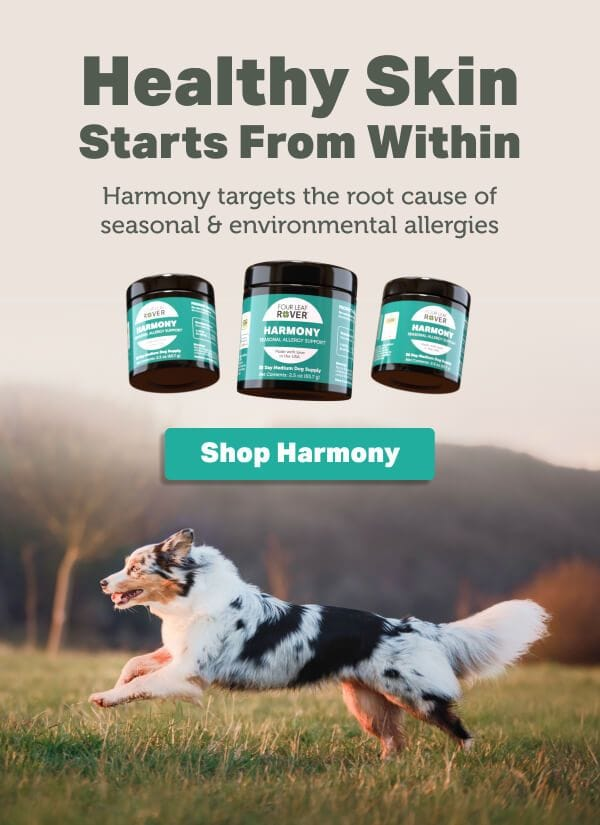 Four Leaf Rover - Super Premium Supplements for Dogs