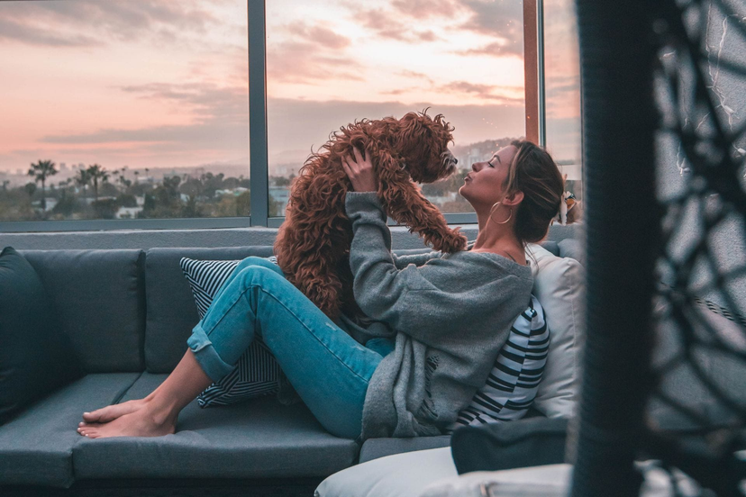 FitBark GPS Pet Tracker & Activity Monitor | Smart Collar for Dogs & Cats