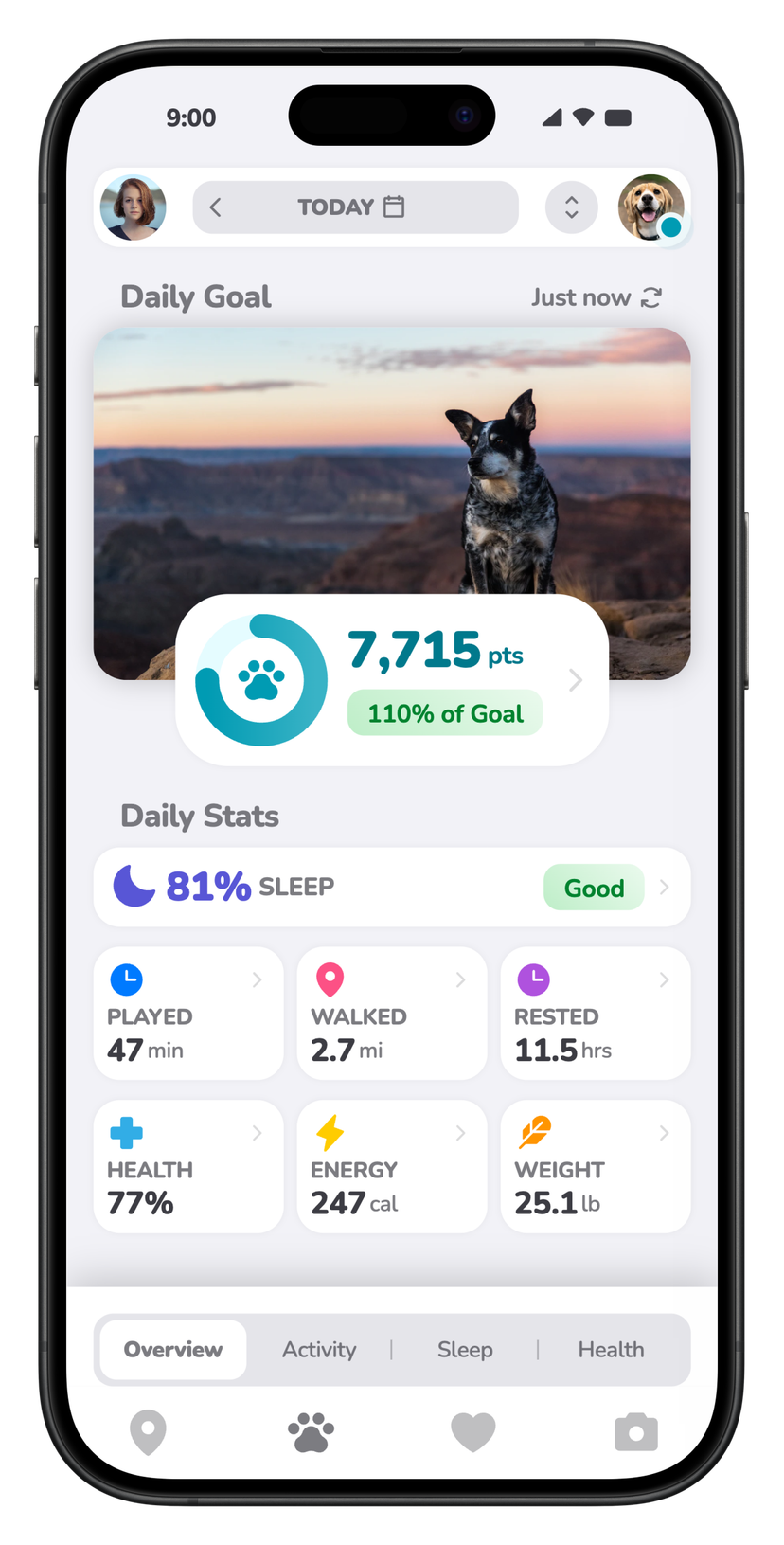 FitBark GPS Pet Tracker & Activity Monitor