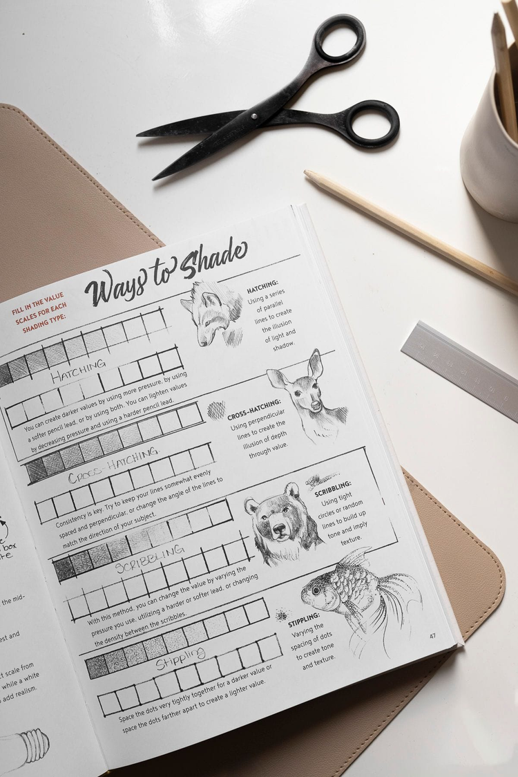 THE ARTIST'S DRAWING BOOK | HOME