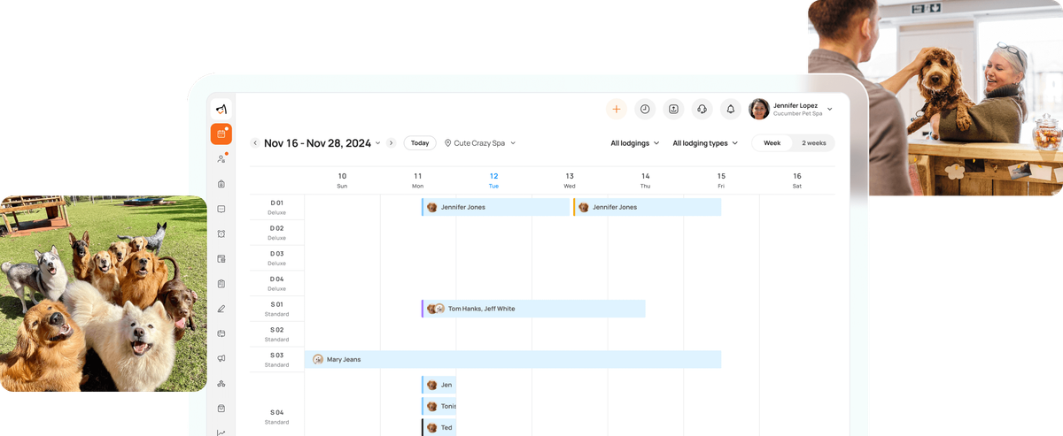 Dog Boarding Software for Kennels & Pet Boarding | MoeGo