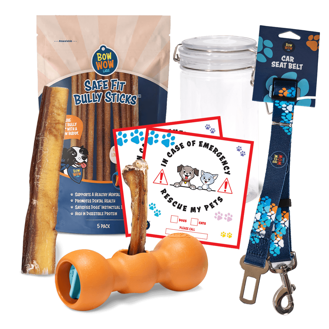 World's Safest Bully Stick & Long-Term Chew Holder