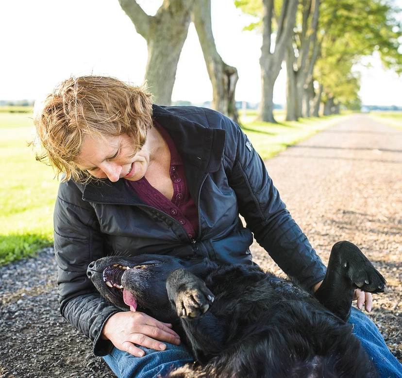 Gut Guard - For Dogs With Irritated, Leaky Guts | Four Leaf Rover®