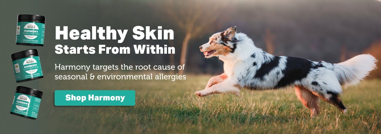 Four Leaf Rover - Super Premium Supplements for Dogs