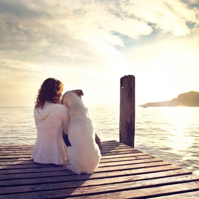 Gut Guard - For Dogs With Irritated, Leaky Guts | Four Leaf Rover®