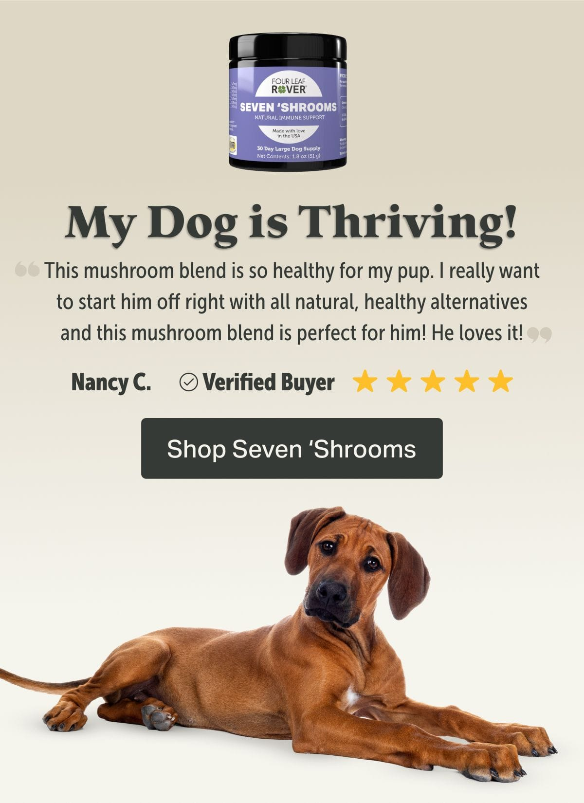 Four Leaf Rover - Super Premium Supplements for Dogs