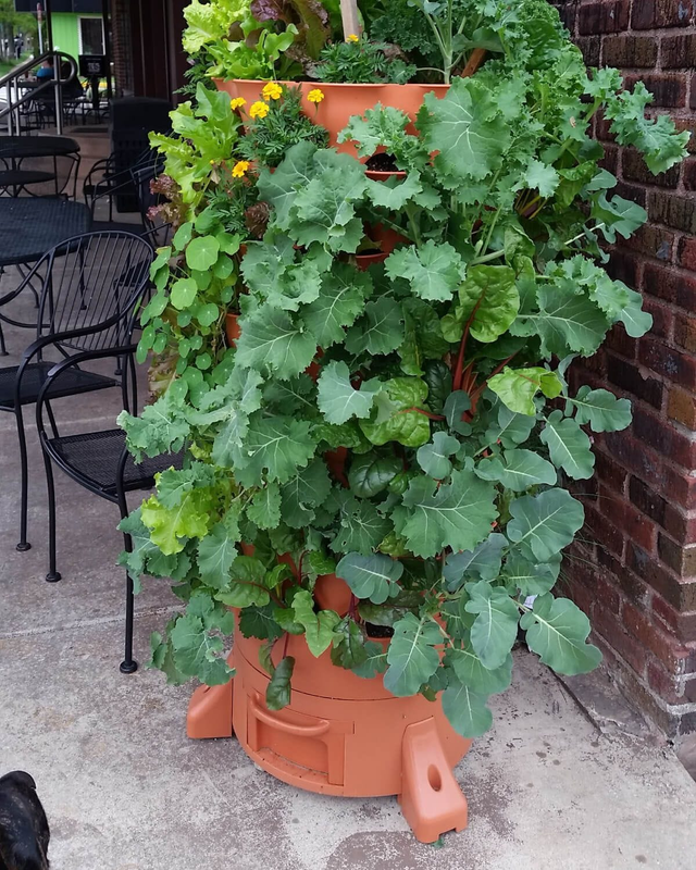 Garden Tower 2™ | Award-Winning Vertical Garden Planters