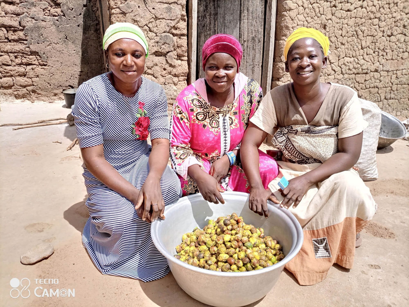 Our Shea Butter | About Shea Butter | How We Make It