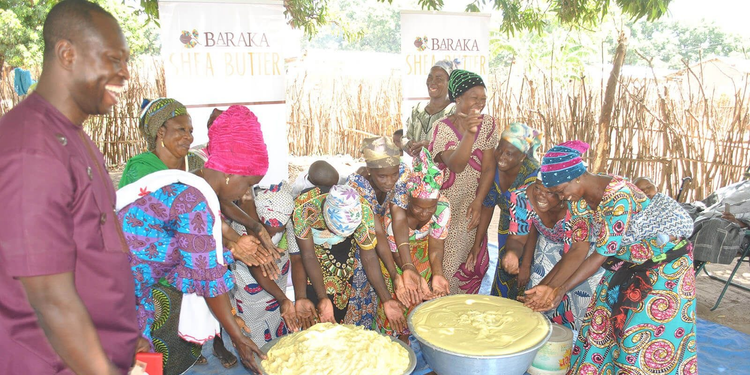 DIY Shea Butter Guide: 10 Recipes — Baraka